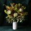 Florist in Camberwell | Same-Day Flowers & Gift Delivery